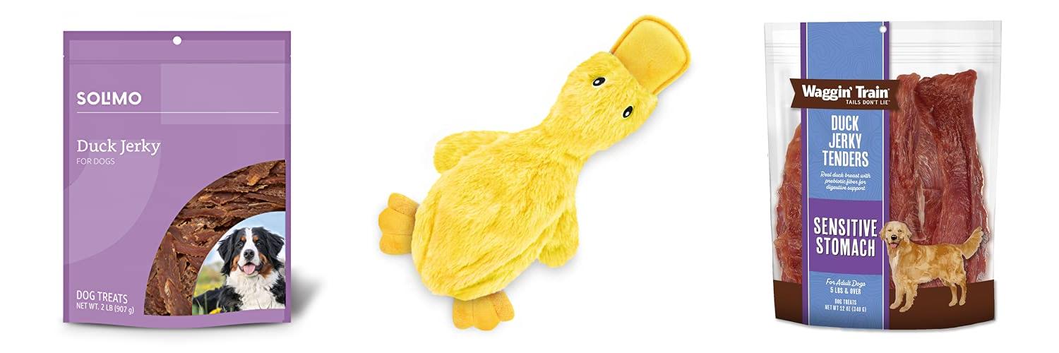 Best Duck Dog - Top 5 Picks & Review - AnimalsPick