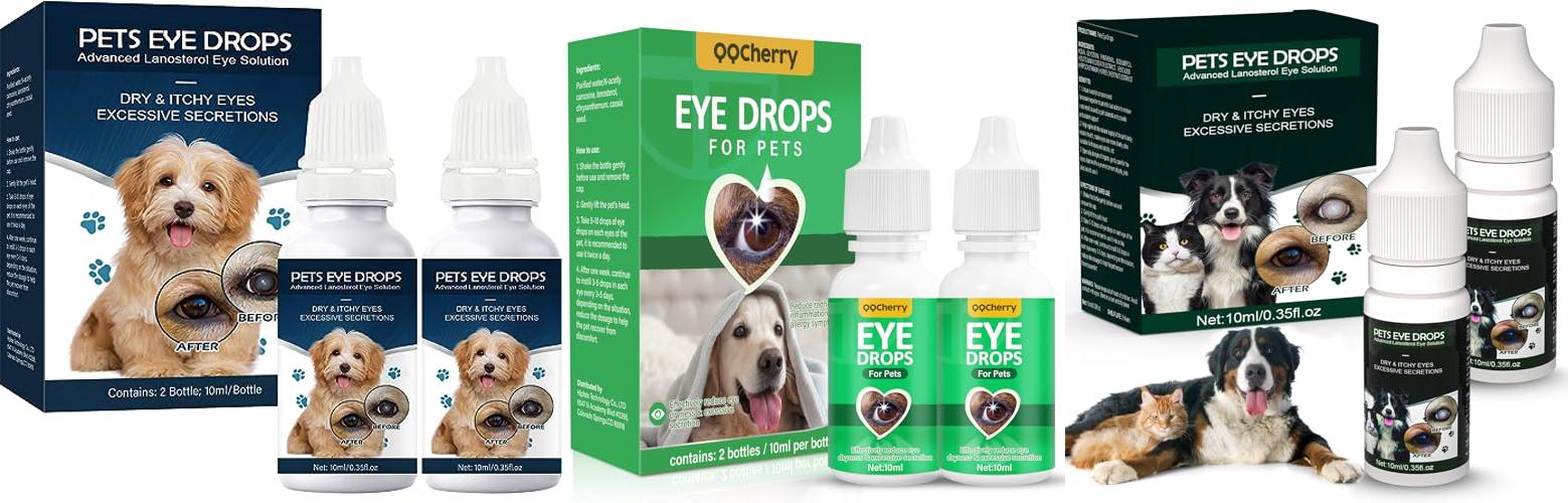 Best Eye Drops For Dog Glaucoma - Top 5 Picks & Review - AnimalsPick