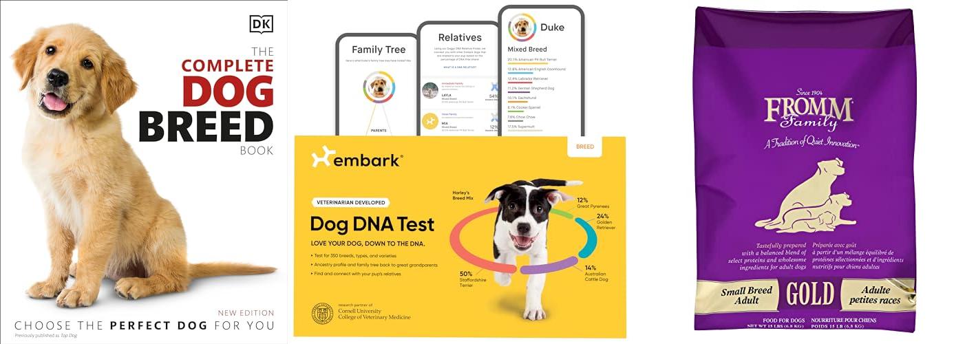 Top 5 Family Dog Breeds: Your Perfect Companion Guide - AnimalsPick