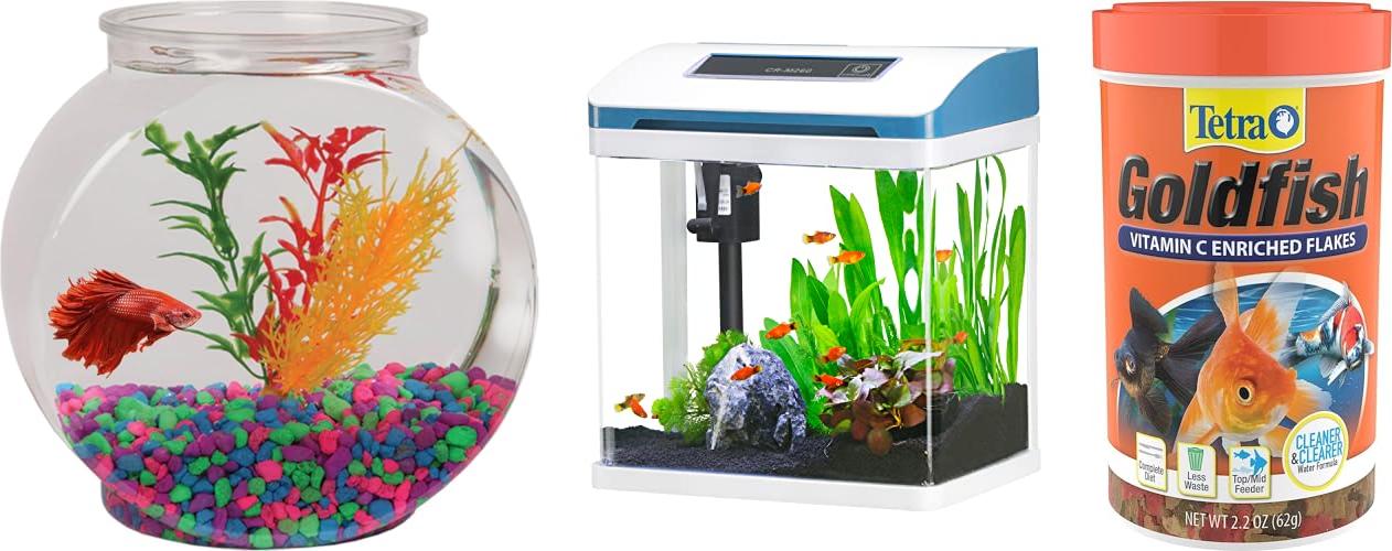 Top 5 Goldfish Bowls: Your Essential Buying Guide - AnimalsPick