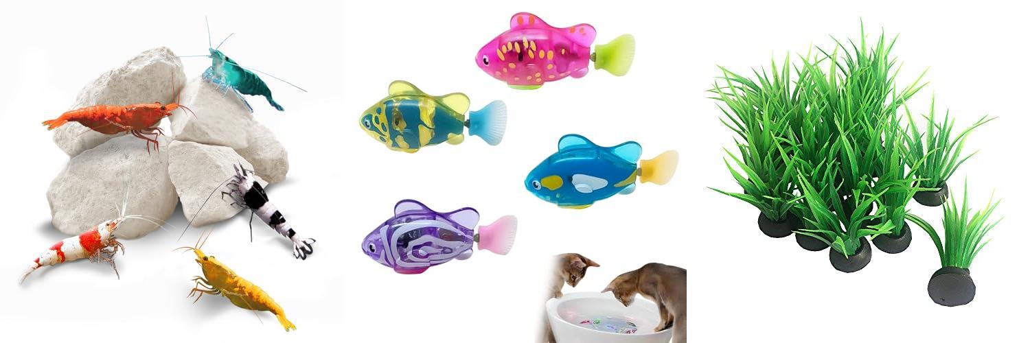 Top 5 Fish For A Pet: Your Best Choice Guide (50 characters) - AnimalsPick