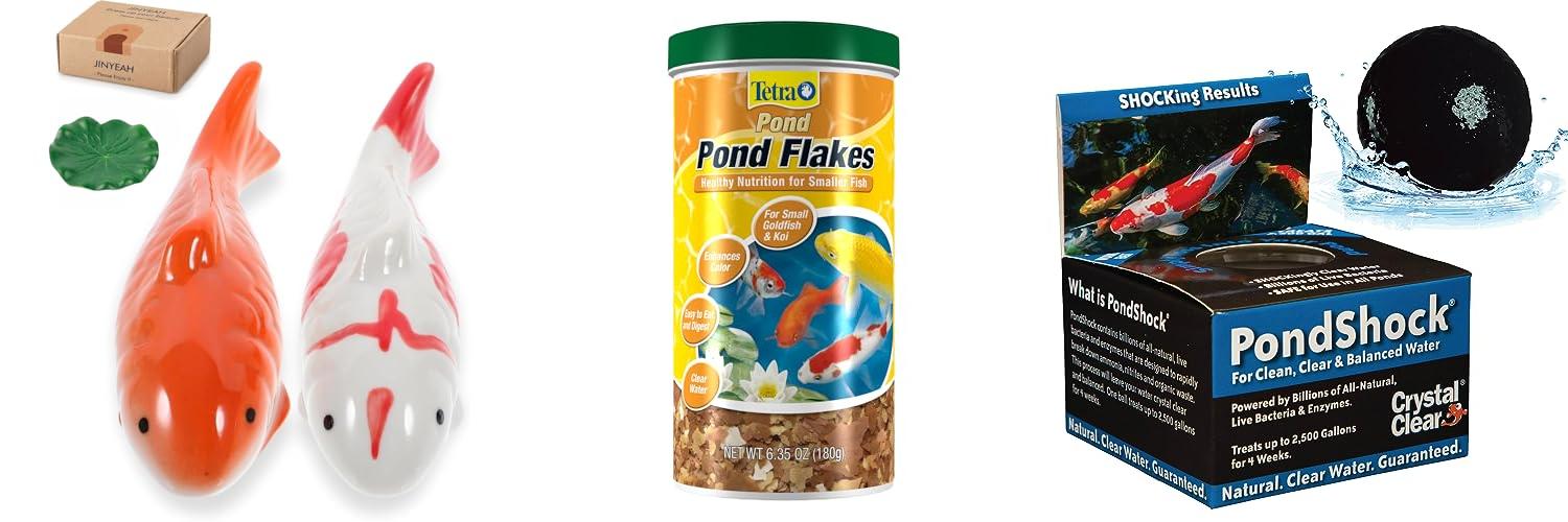 Small Pond Fish Guide: 5 Best Choices Reviewed - AnimalsPick