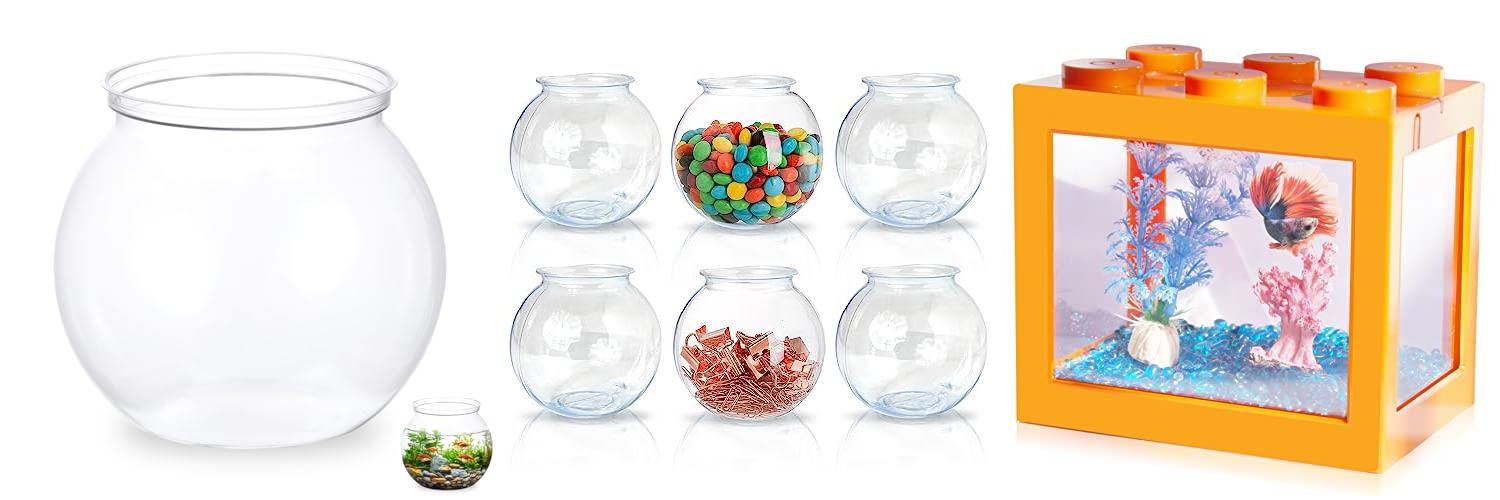 Top 5 Fish For Small Bowls: Your Ultimate Guide - AnimalsPick