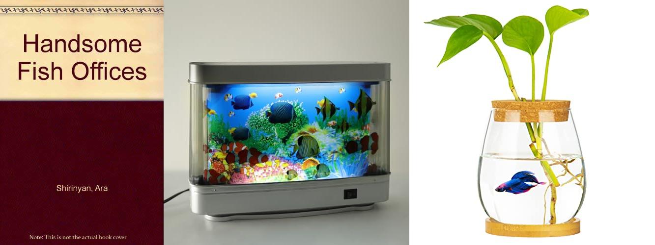 Best Fish For The Office - Top 5 Picks & Review - AnimalsPick