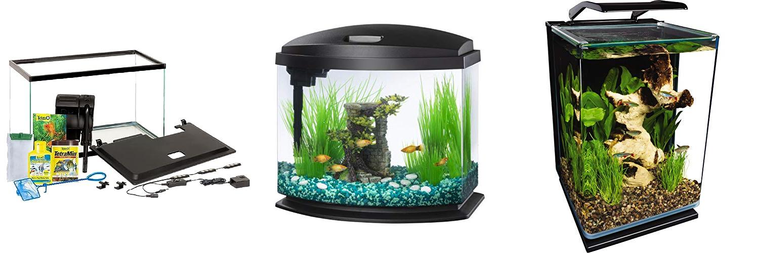 Top 5 Fish Tank Kits: Your Essential Buying Guide - AnimalsPick