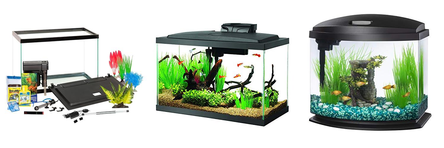 Best Fish Tank Kits - Top 5 Picks & Review - AnimalsPick
