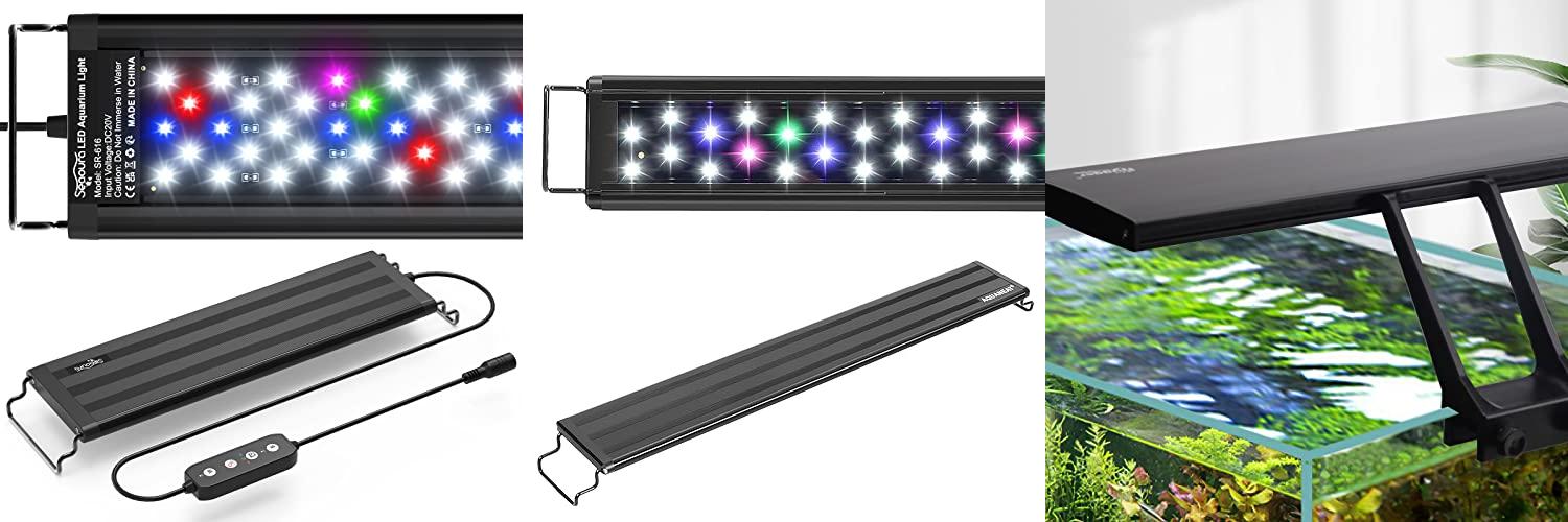 Top 5 Fish Tank Lights for Plants: Your Guide - AnimalsPick