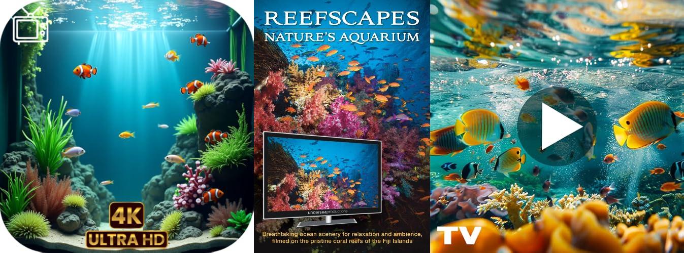 Top 5 Fish Tank Screensavers: Your Digital Aquarium Guide - AnimalsPick