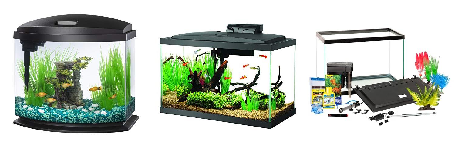 Best Fish Tanks - Top 5 Picks & Review - AnimalsPick