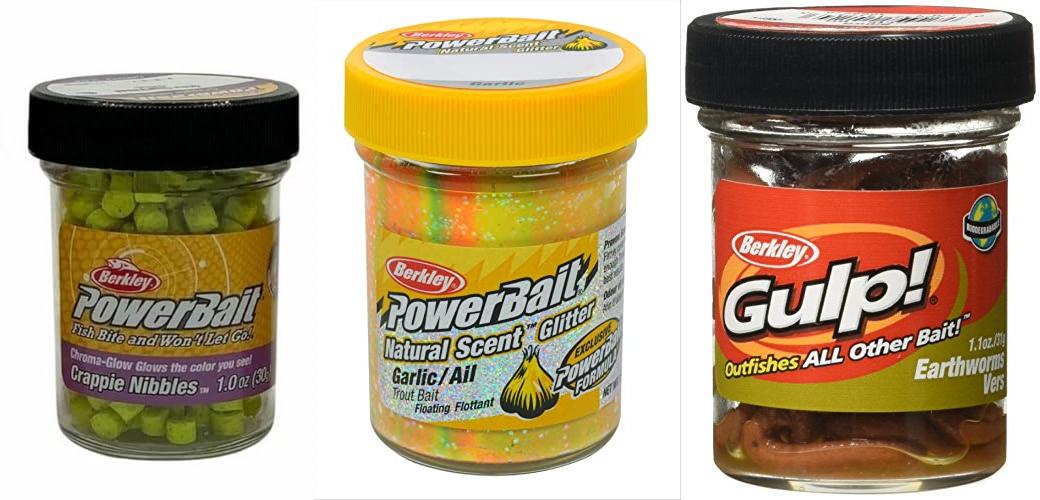Best Freshwater Fish Bait - Top 5 Picks & Review - AnimalsPick