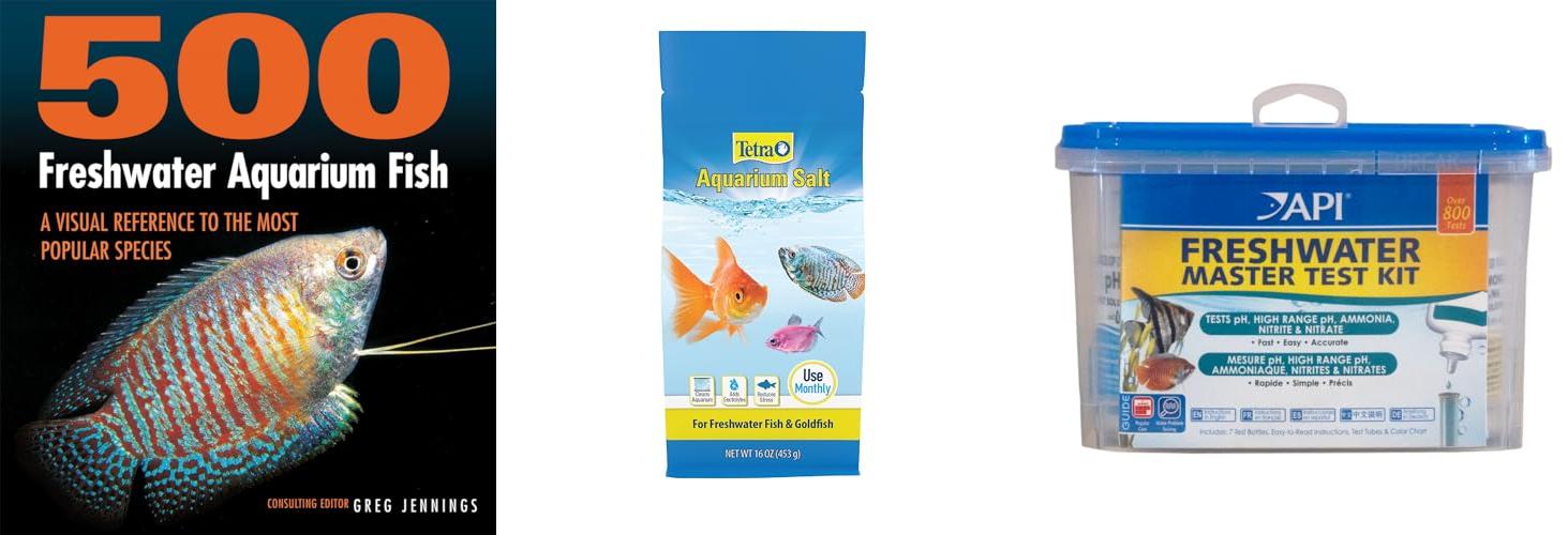 Top 5 Freshwater Aquarium Fish: Your Easy Guide - AnimalsPick