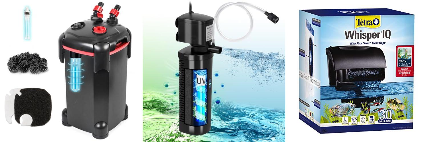 Top 5 Freshwater Tank Filters: Your Buying Guide - AnimalsPick