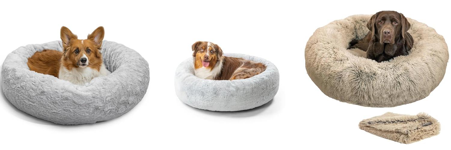 Friend By Sheri Dog Bed: Top 5 Picks & Review - AnimalsPick
