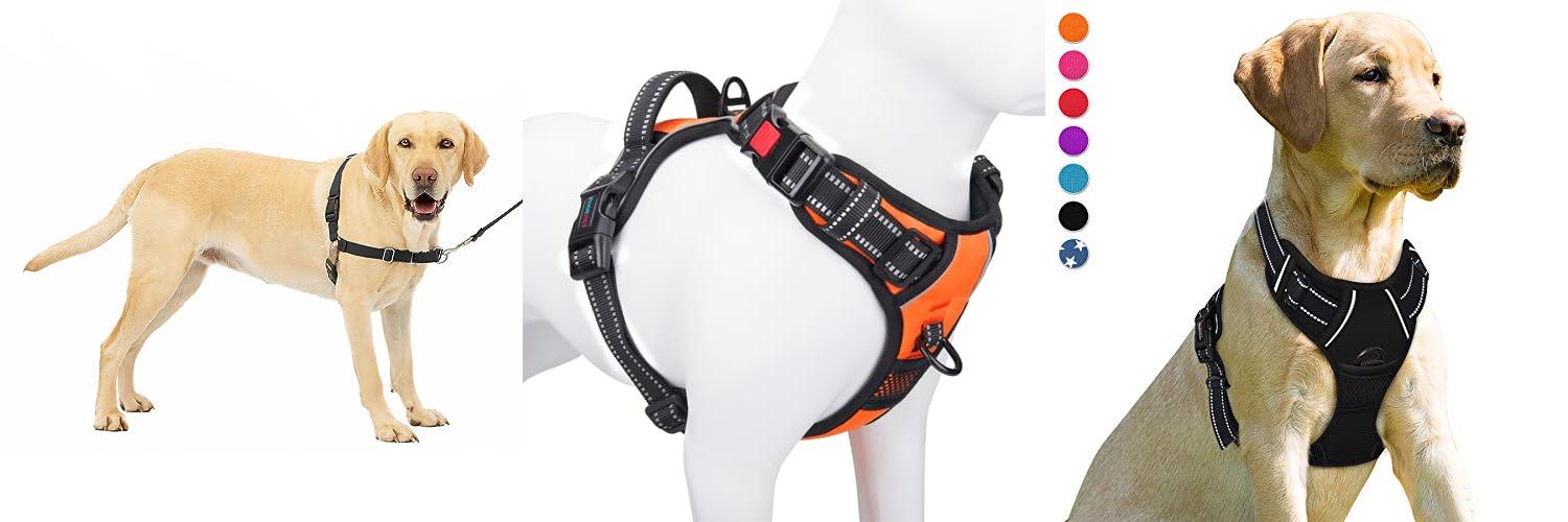Front Attach Dog Harness: Top 5 Picks Reviewed - AnimalsPick