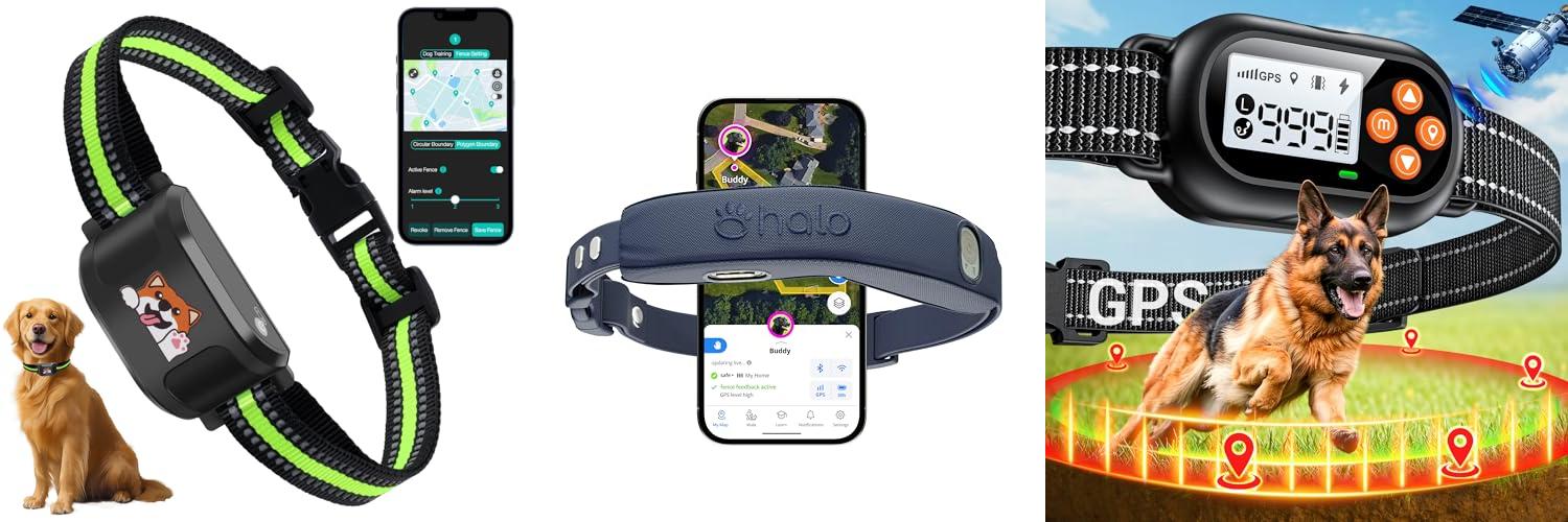 Top 5 Geofence Dog Collars: Your Safety Guide - AnimalsPick