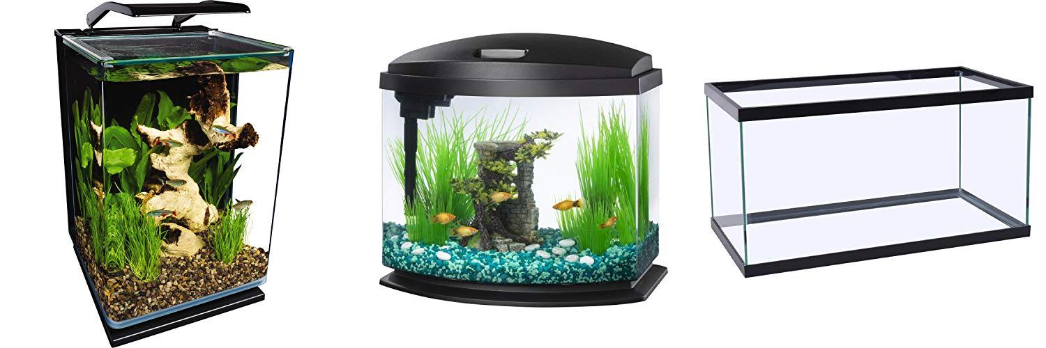 Top 5 Glass Fish Tanks Reviewed for Your Home - AnimalsPick