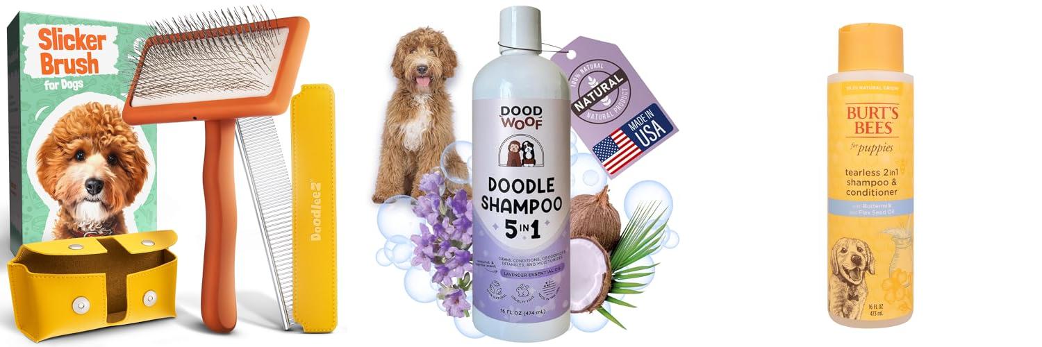 Top 5 Goldendoodle Puppy Grooming Supplies Guide - AnimalsPick