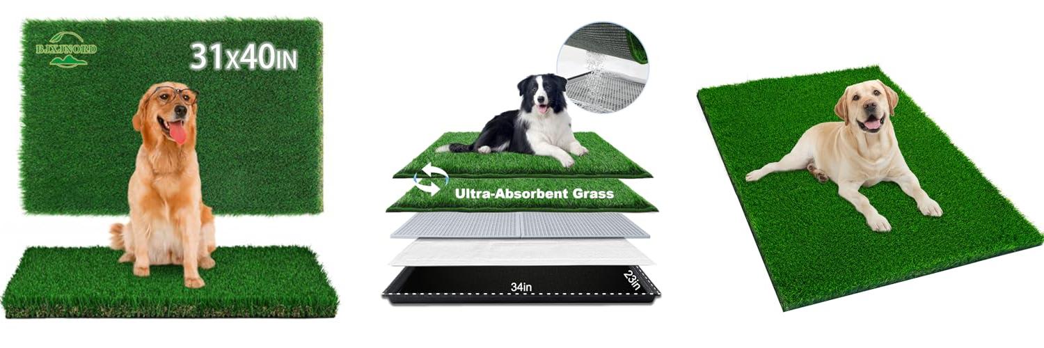 Top 5 Dog Potty Area Ground Cover: Your Guide - AnimalsPick