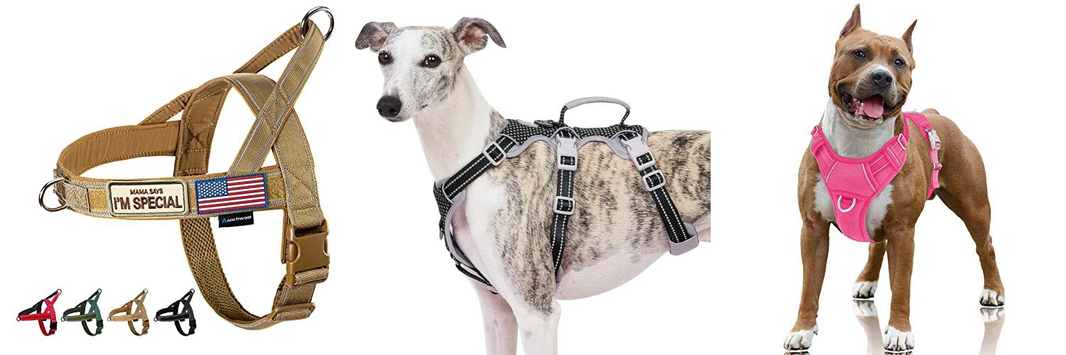 Top 5 Harnesses for Deep Chested Dogs: Find Yours - AnimalsPick