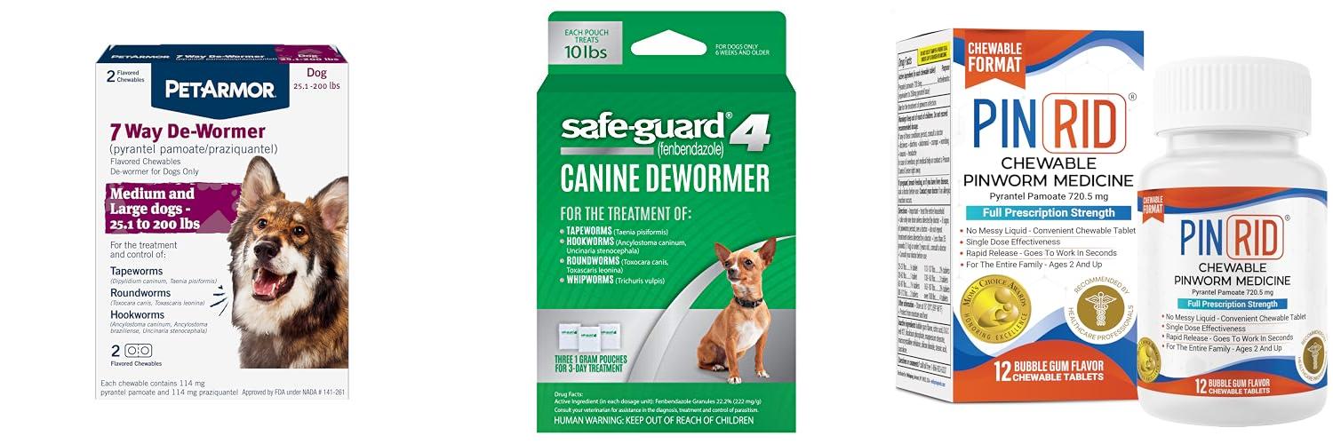 Top 5 Dog Hookworm Treatments: Your Vet's Guide - AnimalsPick
