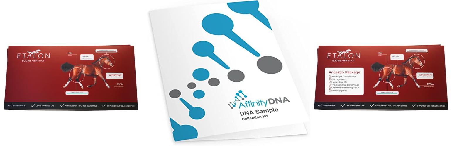 Top 5 Horse DNA Tests: Your Essential Buying Guide - AnimalsPick