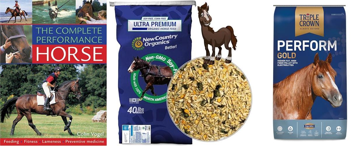 Top 5 Performance Horse Feeds: Your Winning Guide - AnimalsPick