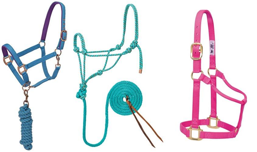 Top 5 Horse Halters & Lead Ropes: Buyer's Guide - AnimalsPick