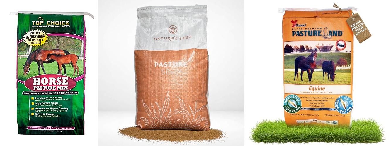 Best Horse Hay Seed Mixture - Top 5 Picks & Review - AnimalsPick