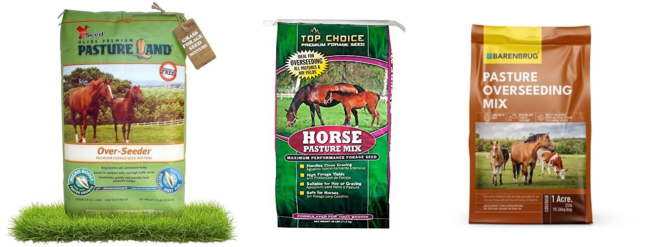 Top 5 Horse Pasture Seed Mixes: Your Best Choice - AnimalsPick