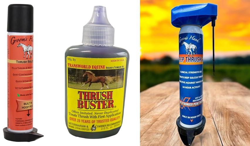 Best Horse Thrush Treatment - Top 5 Picks & Review - AnimalsPick