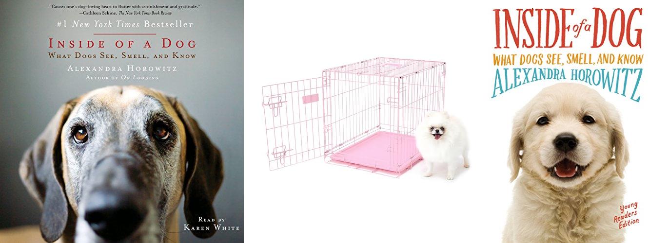 Top 5 Inside Dog: Your Essential Buying Guide - AnimalsPick