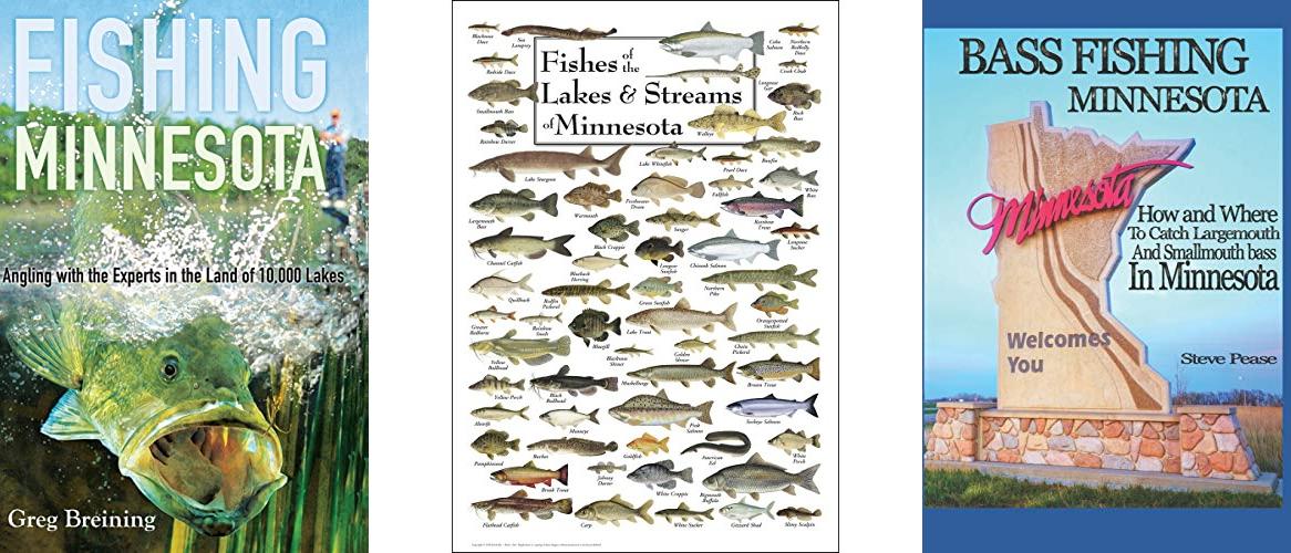 Top 5 Minnesota Lakes for Anglers: Your Fishing Guide - AnimalsPick