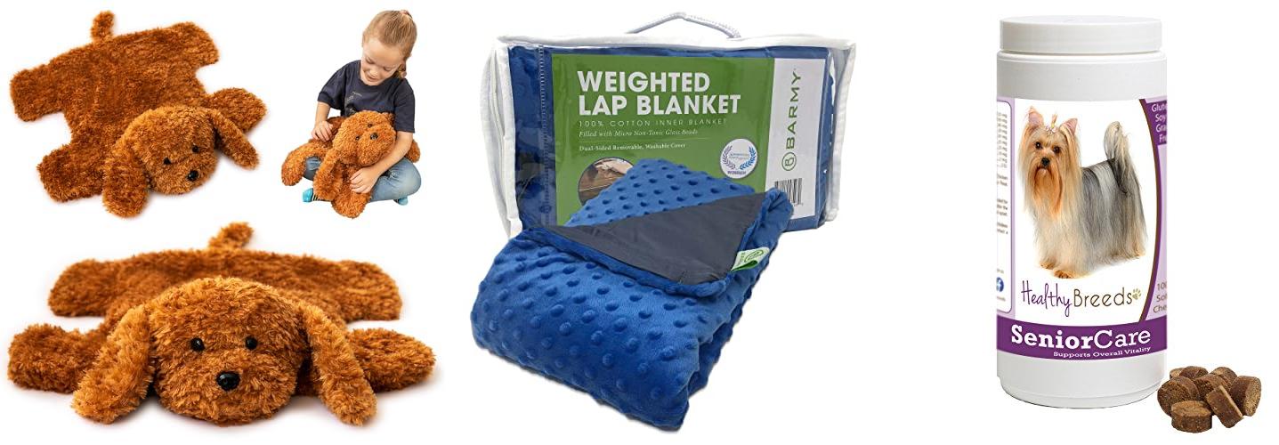 Top 5 Lap Dogs for Seniors: Your Perfect Companion Guide - AnimalsPick