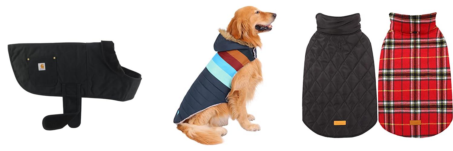 Top 5 Large Dog Coats: Your Essential Buying Guide - AnimalsPick