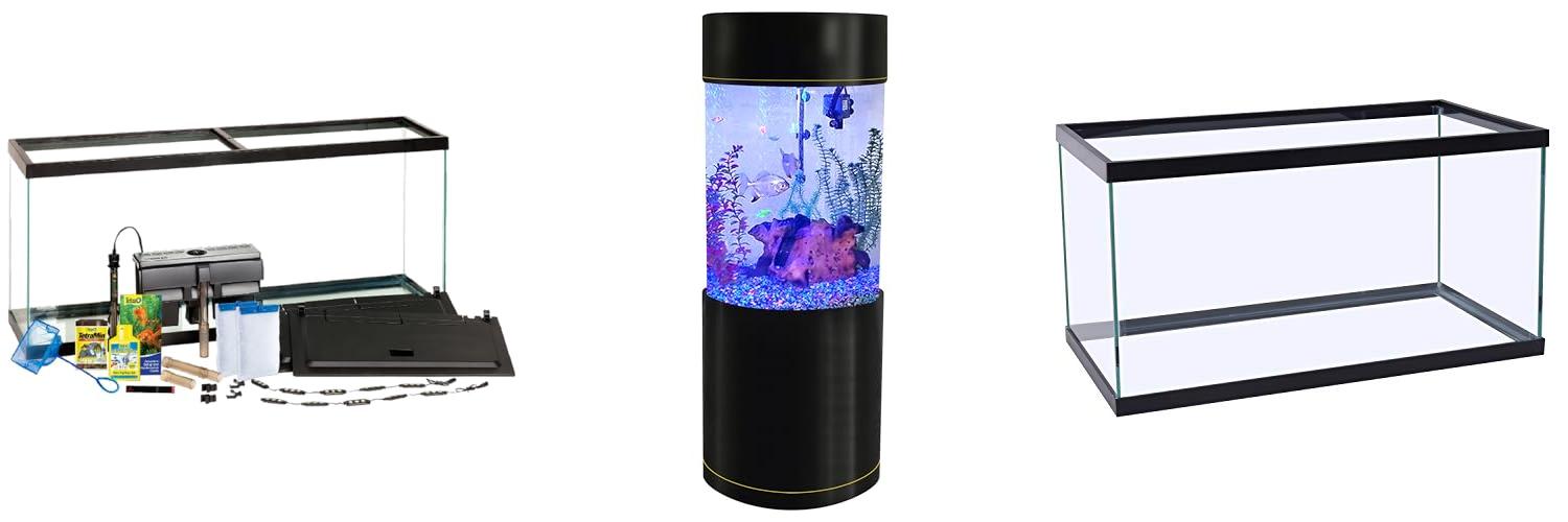 Top 5 Large Fish Tanks: Your Ultimate Buying Guide - AnimalsPick