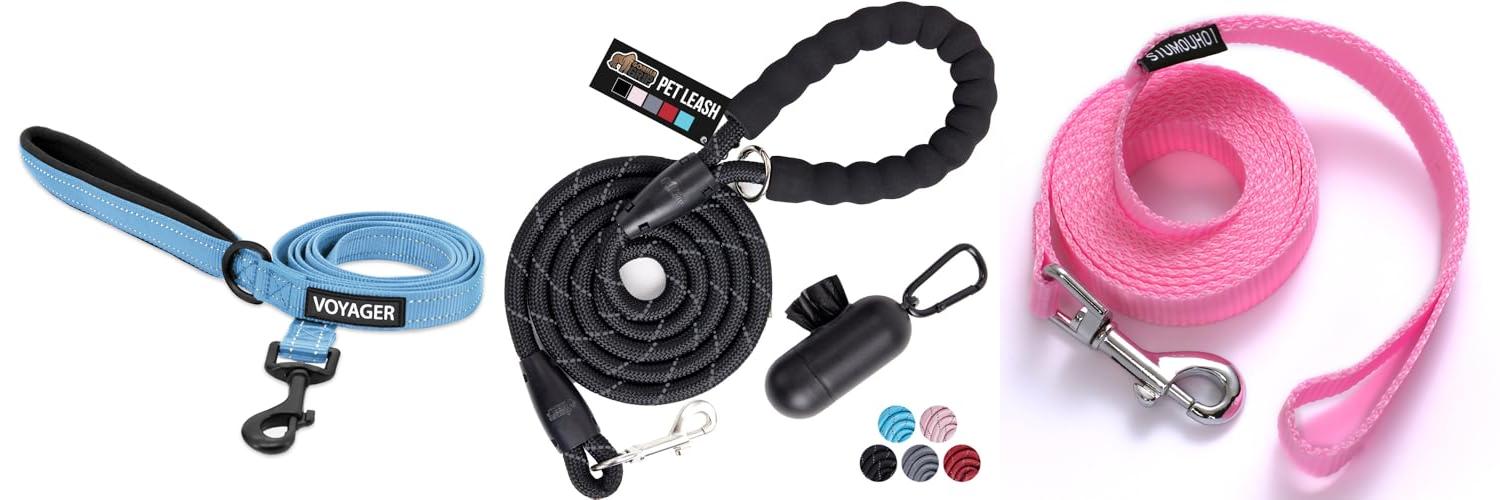 Top 5 Leashes for Doberman Puppy: Your Buying Guide - AnimalsPick