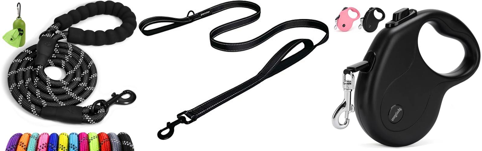 Top 5 Dog Leashes: Your Ultimate Buying Guide - AnimalsPick