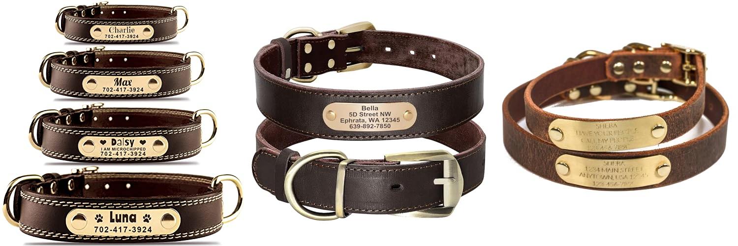 Top 5 Leather Dog Collars with Nameplate: Buyer's Guide - AnimalsPick