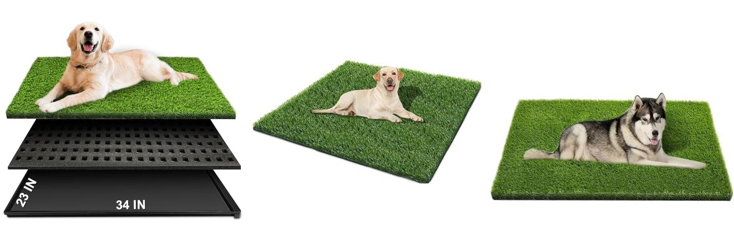 Best Mulch For Dog Potty Area - Top 5 Picks & Review - AnimalsPick