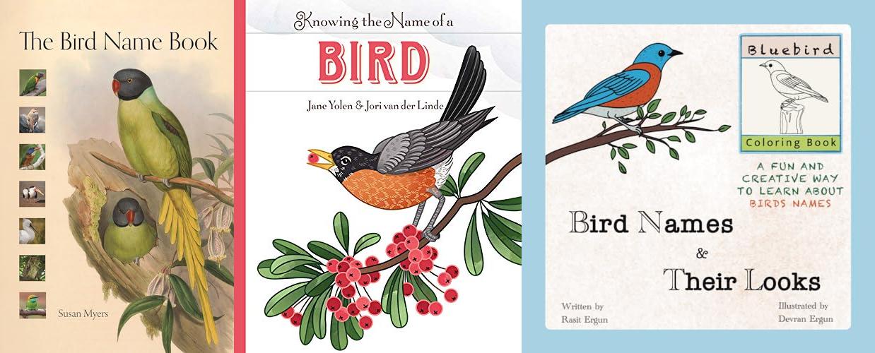 Best Name For A Bird - Top 5 Picks & Review - AnimalsPick