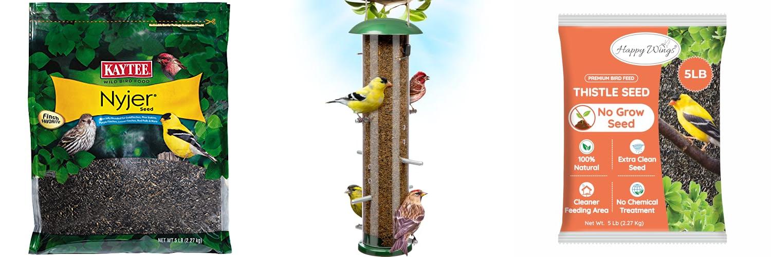 Top 5 Nyjer Seed Bird Feeders: Your Buying Guide - AnimalsPick