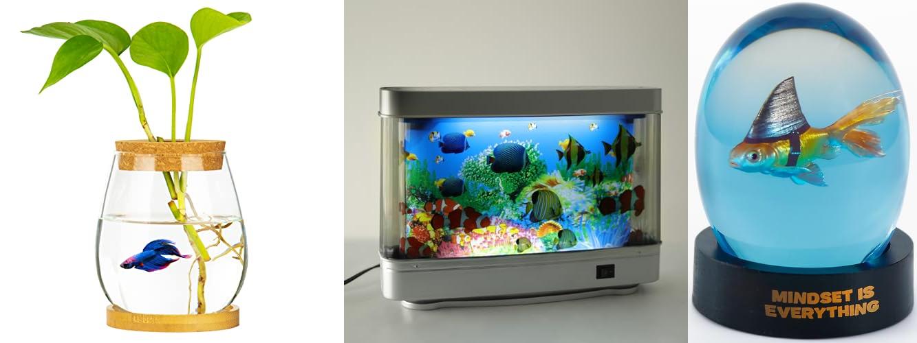 Best Office Fish - Top 5 Picks & Review - AnimalsPick