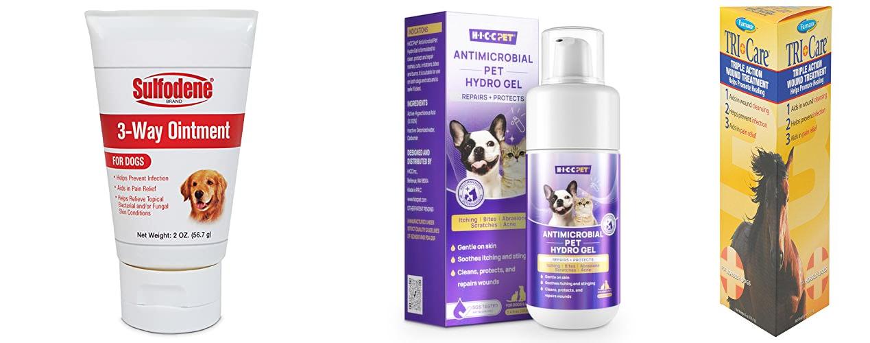 Top 5 Ointments for Dog Bite Wounds: Your Guide - AnimalsPick