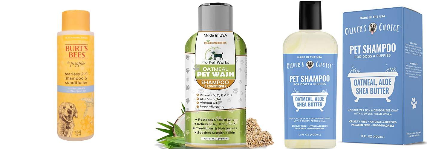 Top 5 Organic Puppy Shampoos: Gentle Care Guide - AnimalsPick