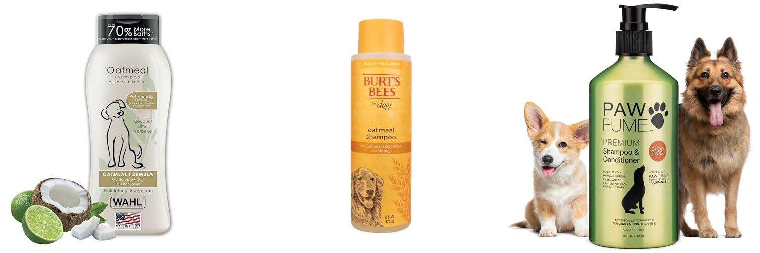 Top 5 Petsmart Dog Shampoos: Your Buying Guide - AnimalsPick