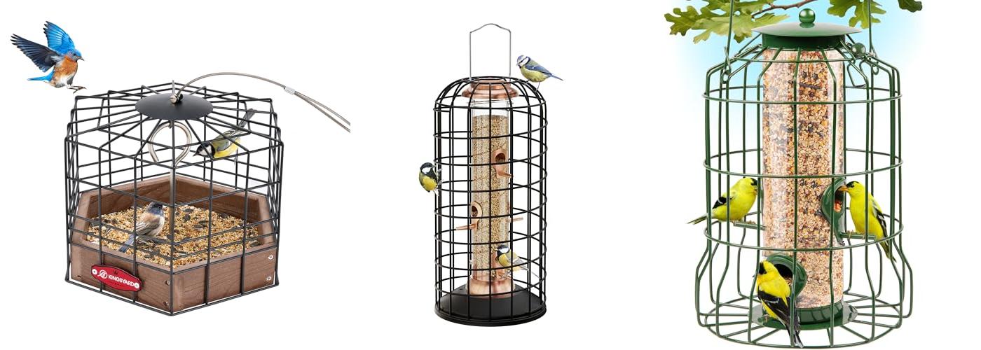 Best Pigeon Proof Bird Feeder - Top 5 Picks & Review - AnimalsPick