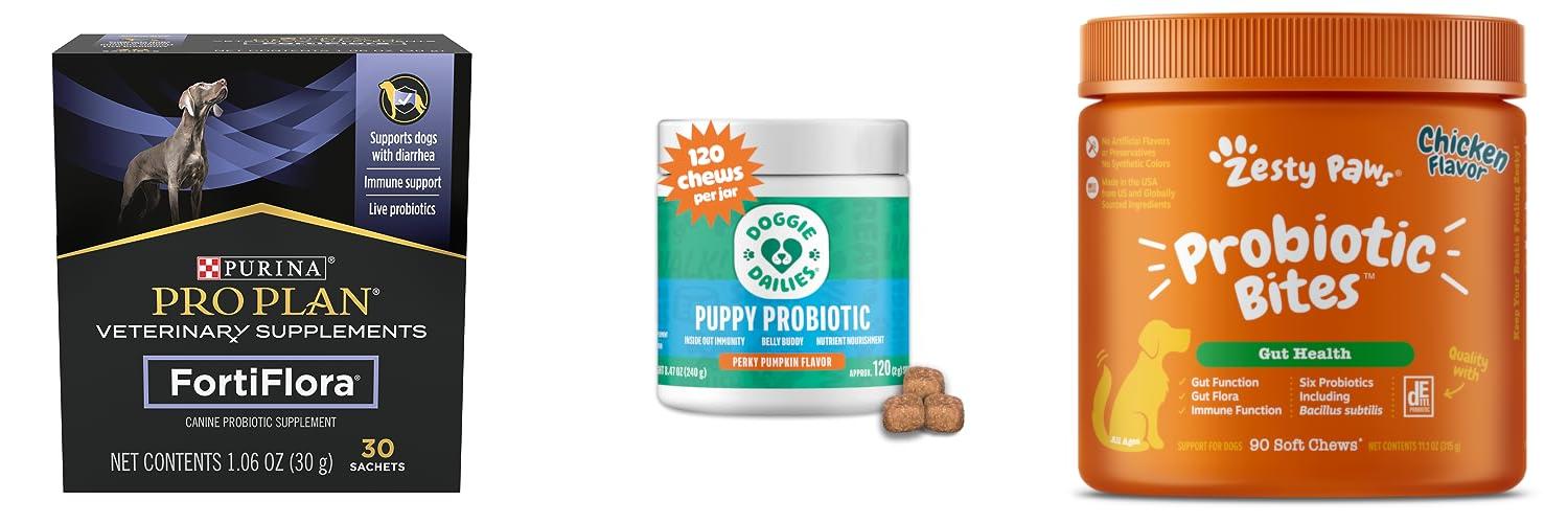 Best Probiotic For Puppy: Top 5 Picks Reviewed - AnimalsPick