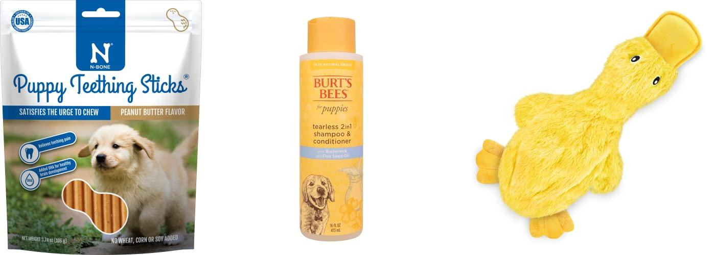 Top 5 Puppy Essentials: Your New Pup's Must-Haves - AnimalsPick