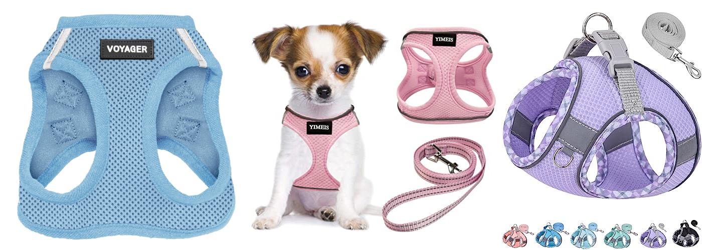 5 Best Puppy Harnesses: A Complete Buying Guide - AnimalsPick