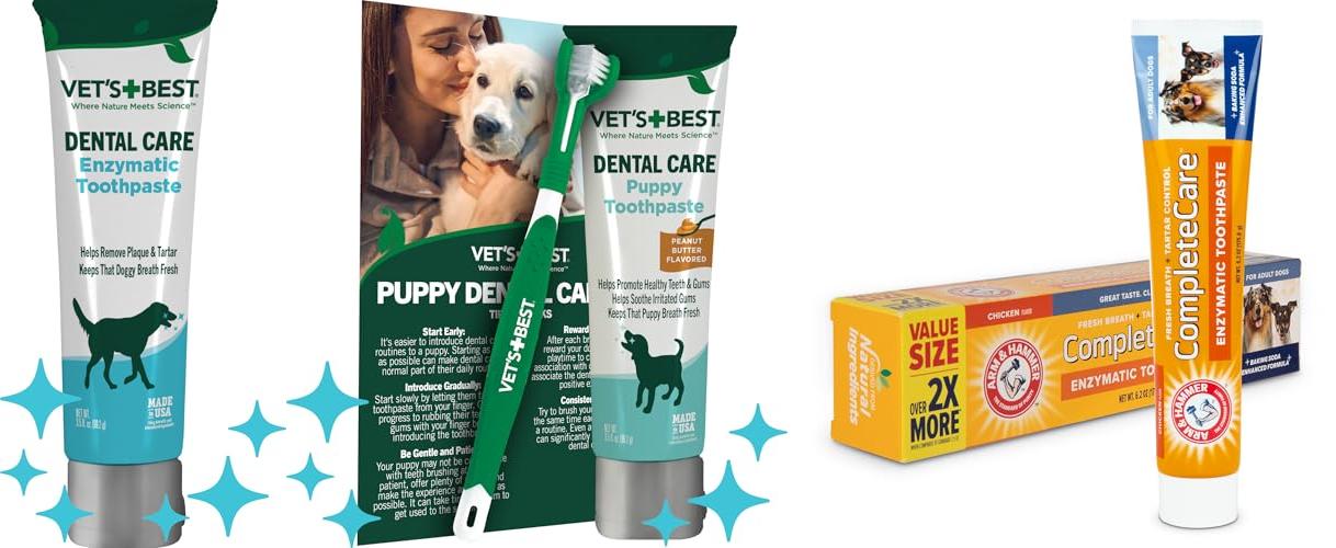 Top 5 Puppy Toothpaste Picks: Your Buying Guide - AnimalsPick